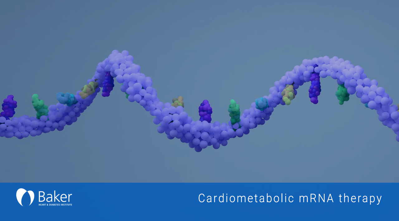 Centre for Cardiometabolic mRNA Therapy