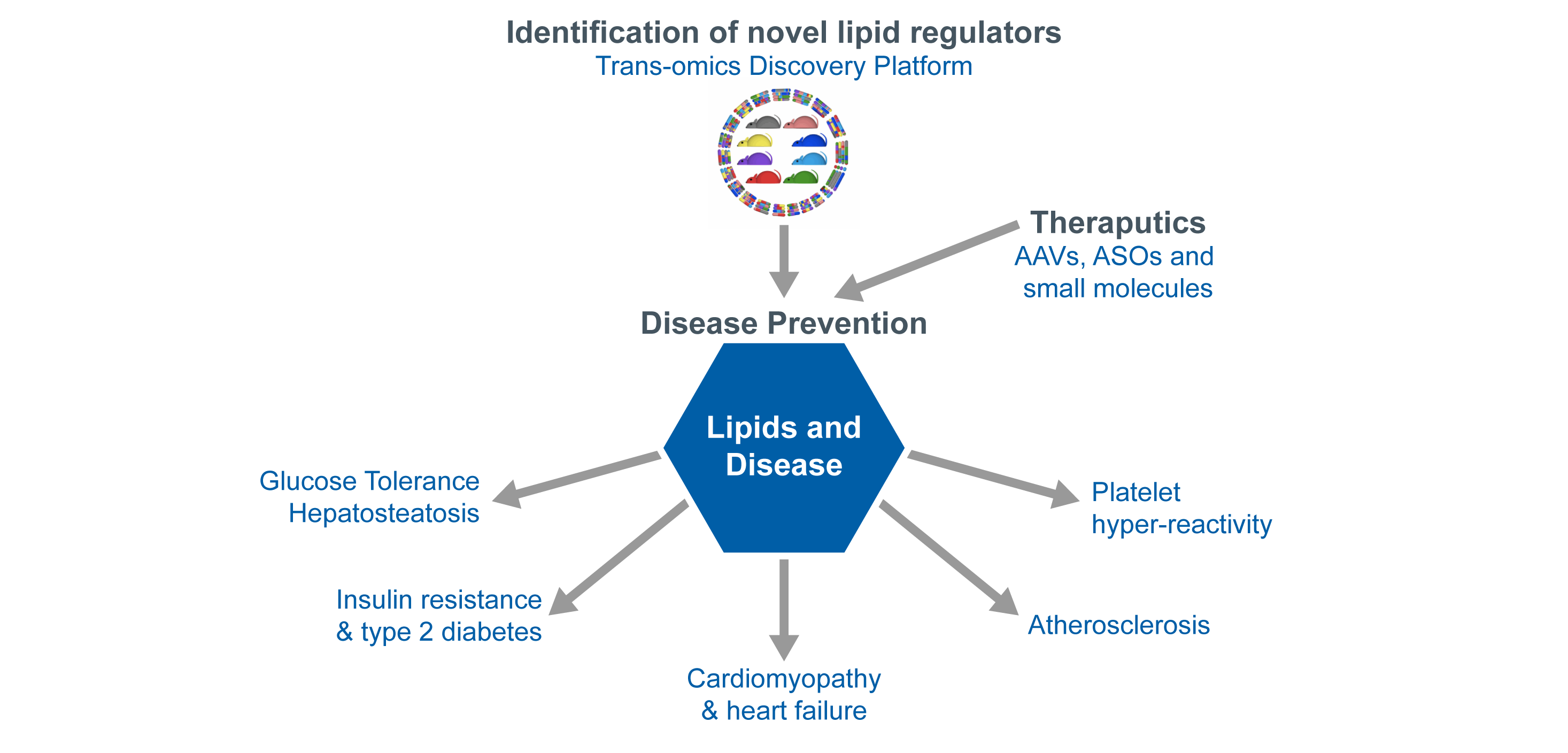 Lipid Metabolism and Cardiometabolic Disease
